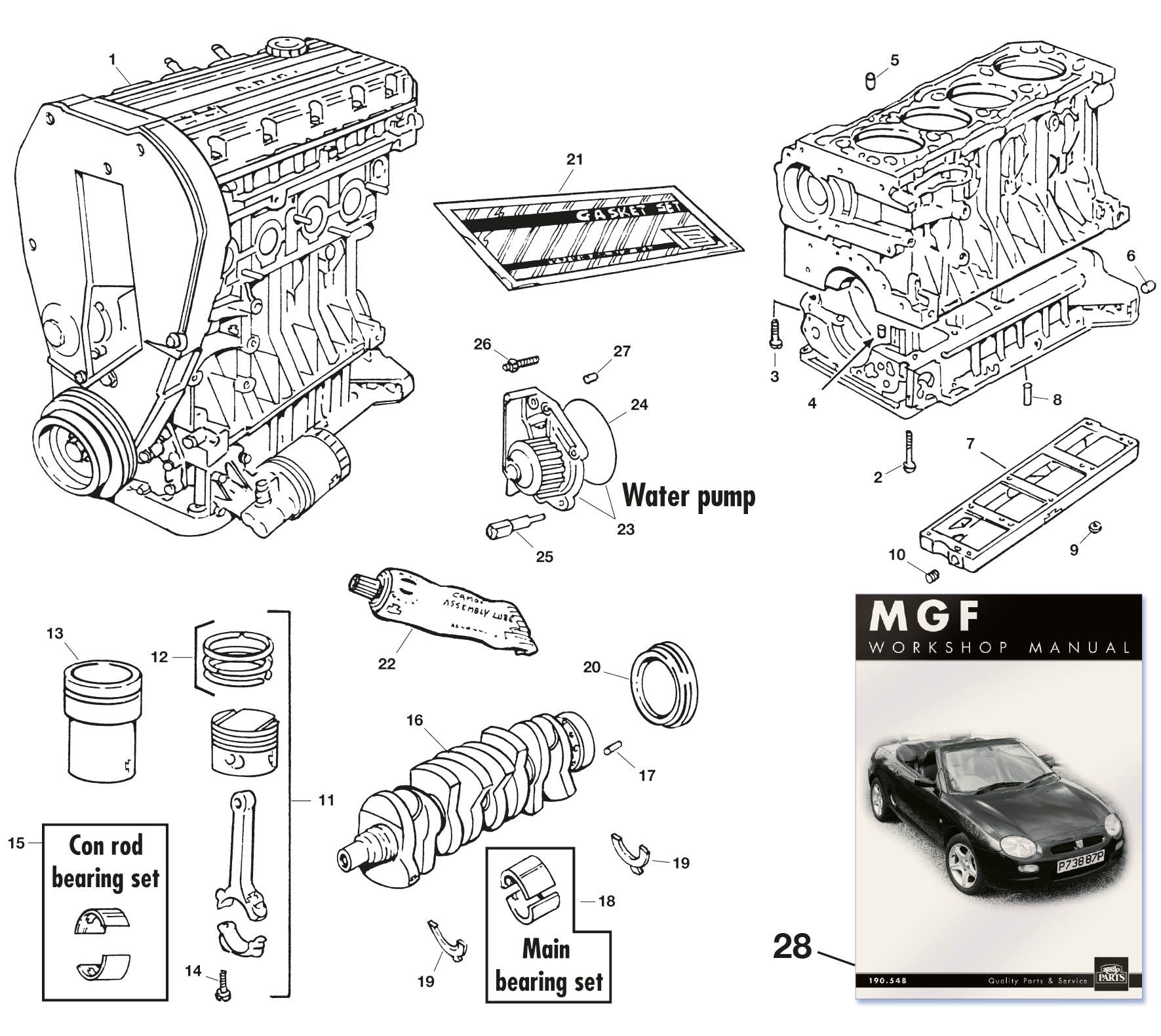 Engine, pistons & crankshaft - Water pumps - Engine cooling - MGF-TF ...